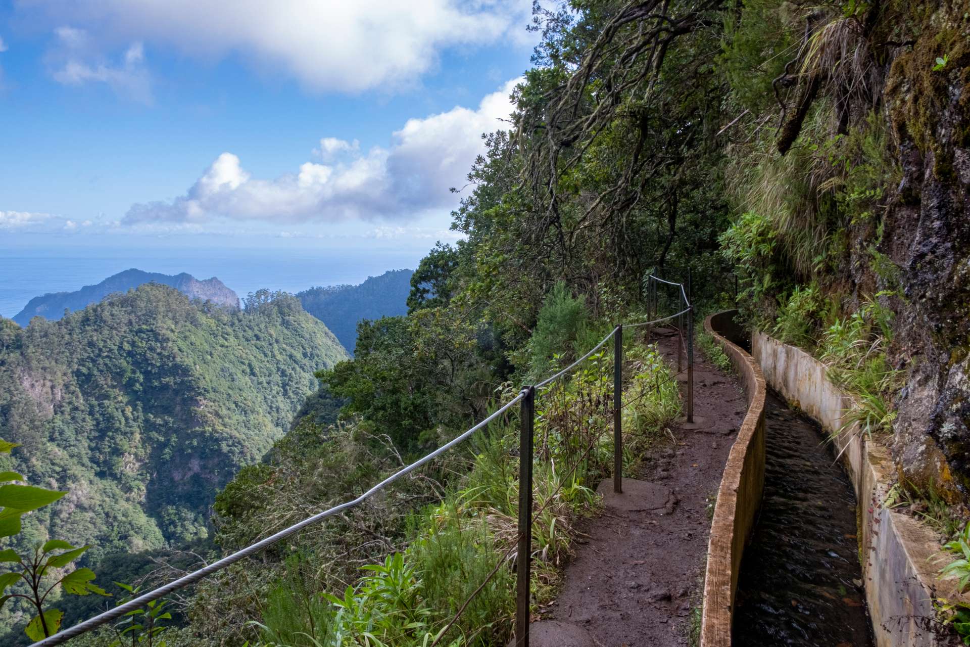 Madeira | Wandelen langs de levada's! | Travelstamps