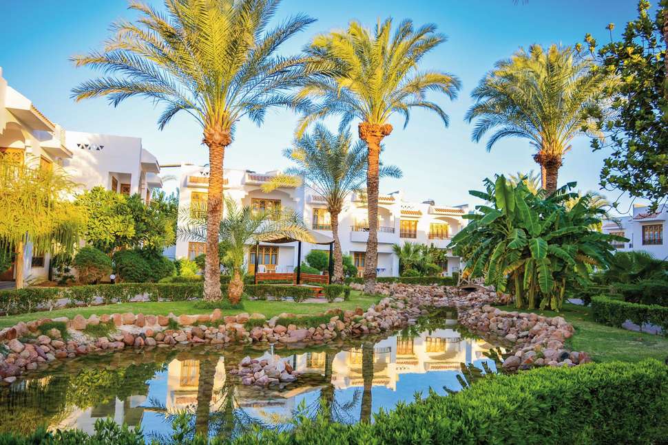 Luxe resort aan het strand | Dive Inn Resort **** | weflycheap